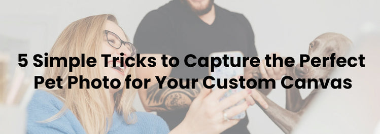 5 Simple Tricks to Capture the Perfect Pet Photo for Your Custom Canva ...